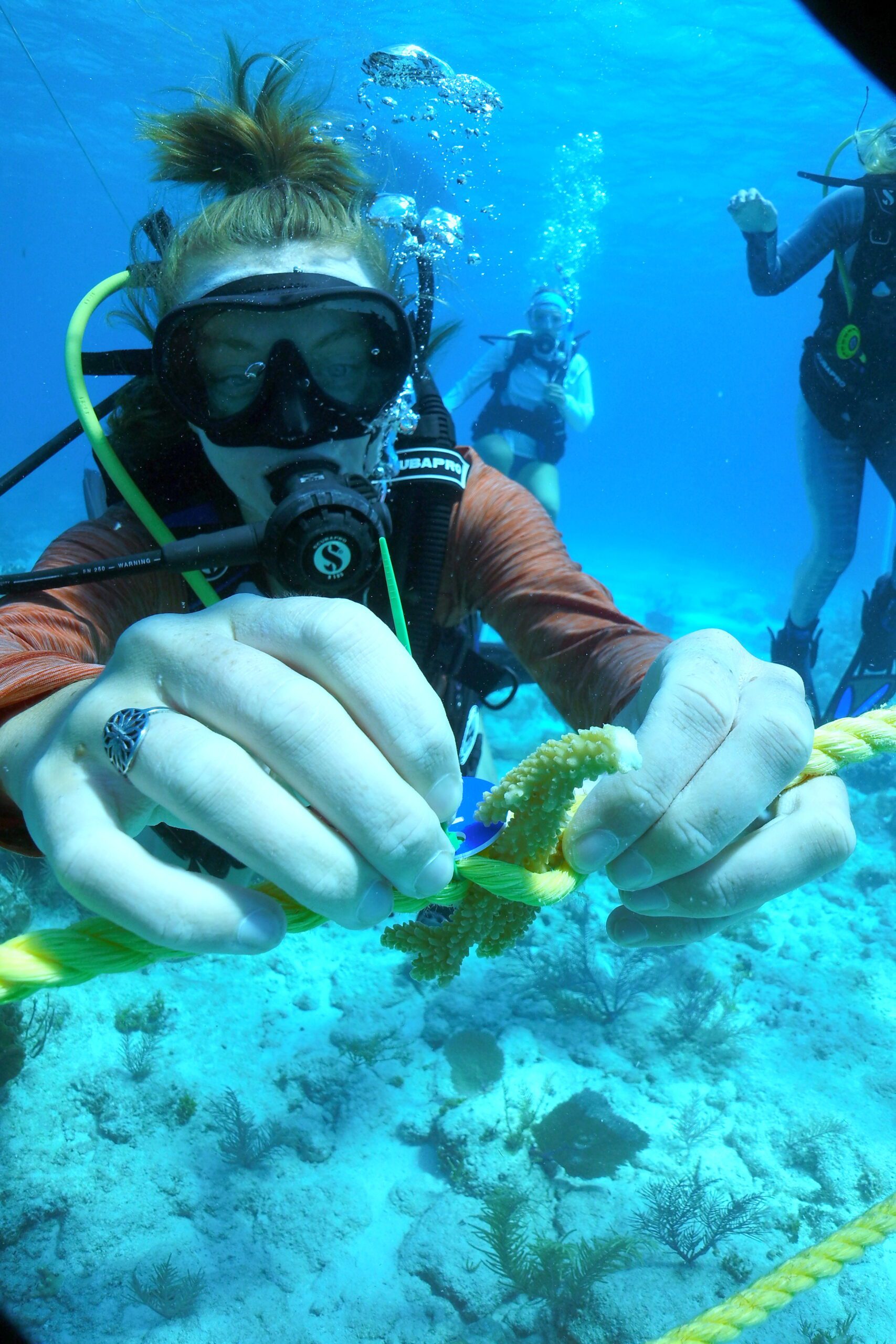 Preserving The Third Largest Reef In The World - For Good Magazine